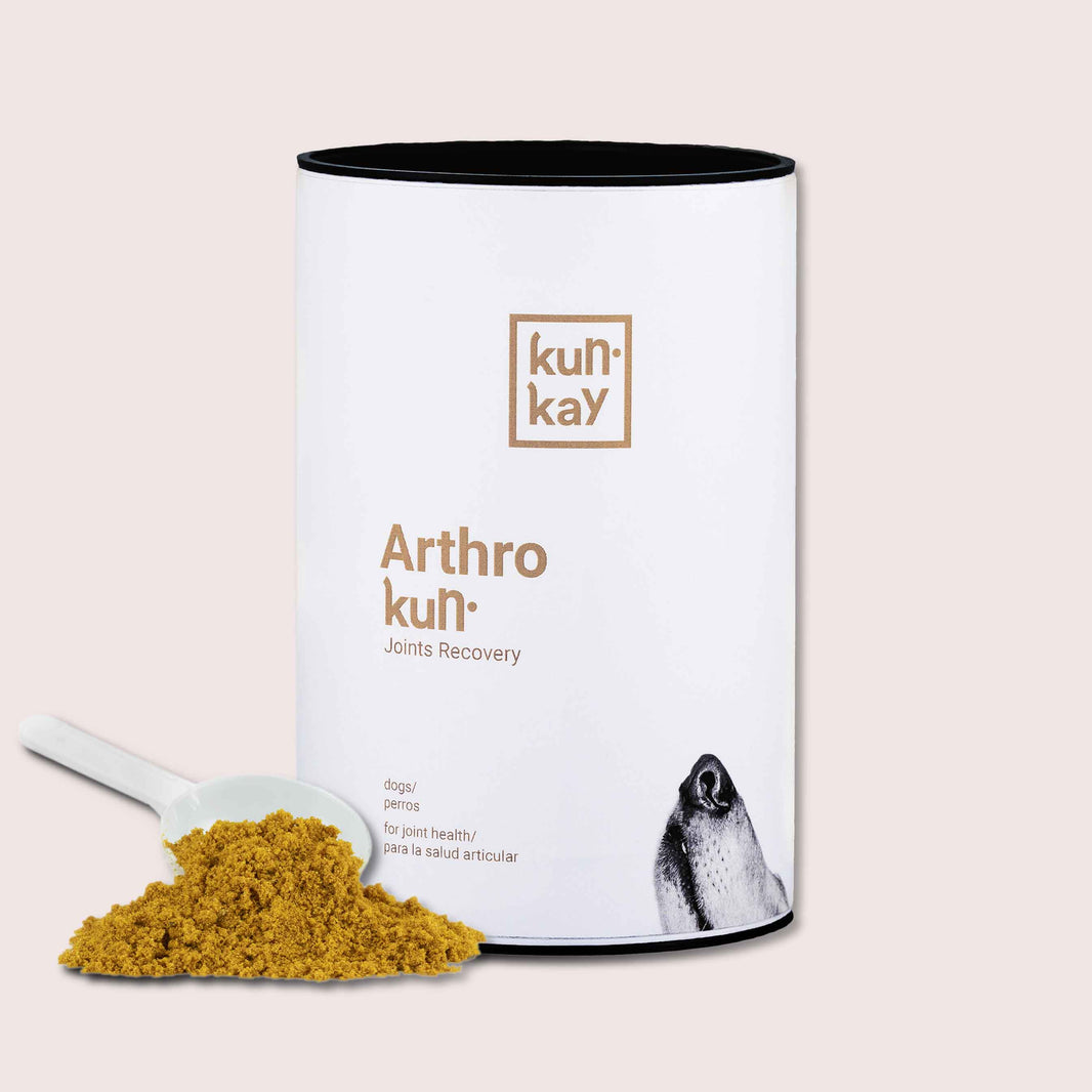 Arthrokun® Perros: Antiinflamatorio y Condroprotector Natural – KUNKAY