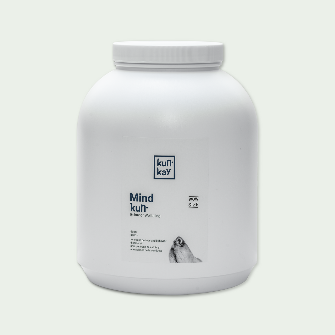 Beetroot: a superfood to improve your dog's kidney function – KUNKAY